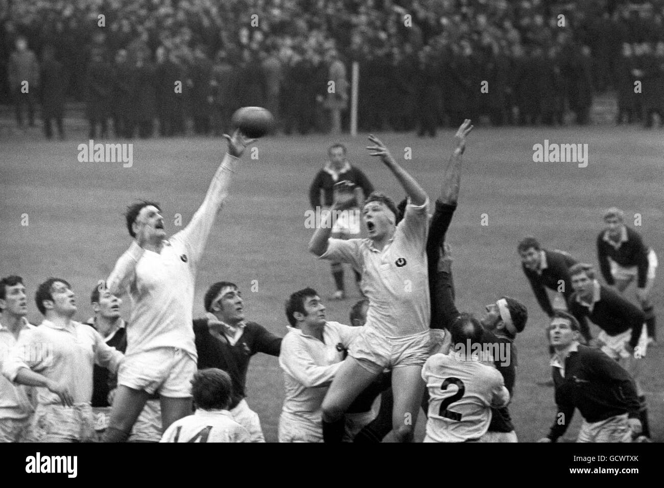 Interrupted line Black and White Stock Photos & Images - Alamy