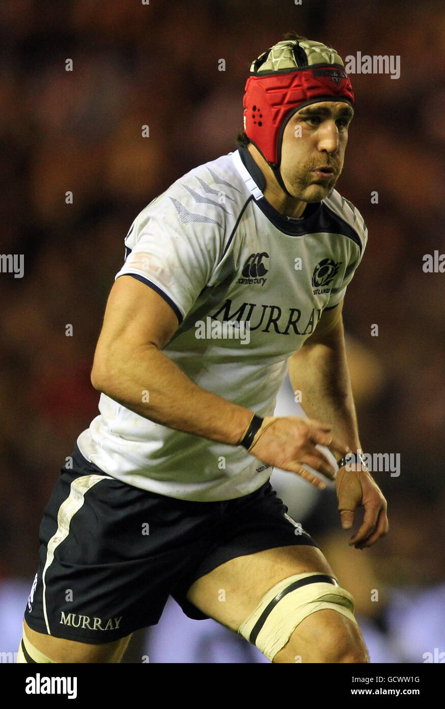 Kelly brown rugby hi-res stock photography and images - Alamy