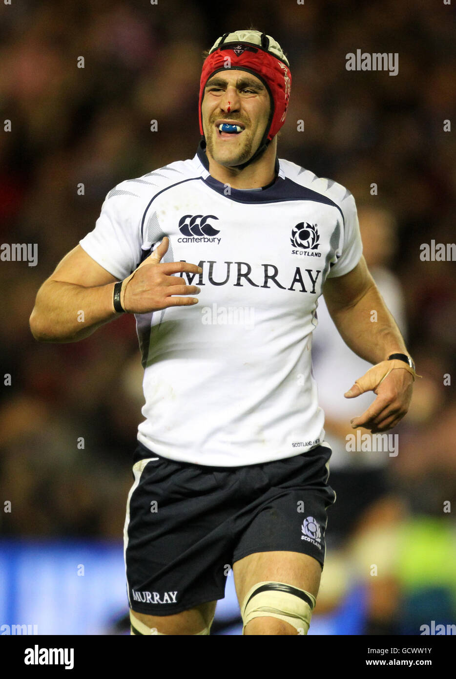 Kelly brown rugby hi-res stock photography and images - Alamy
