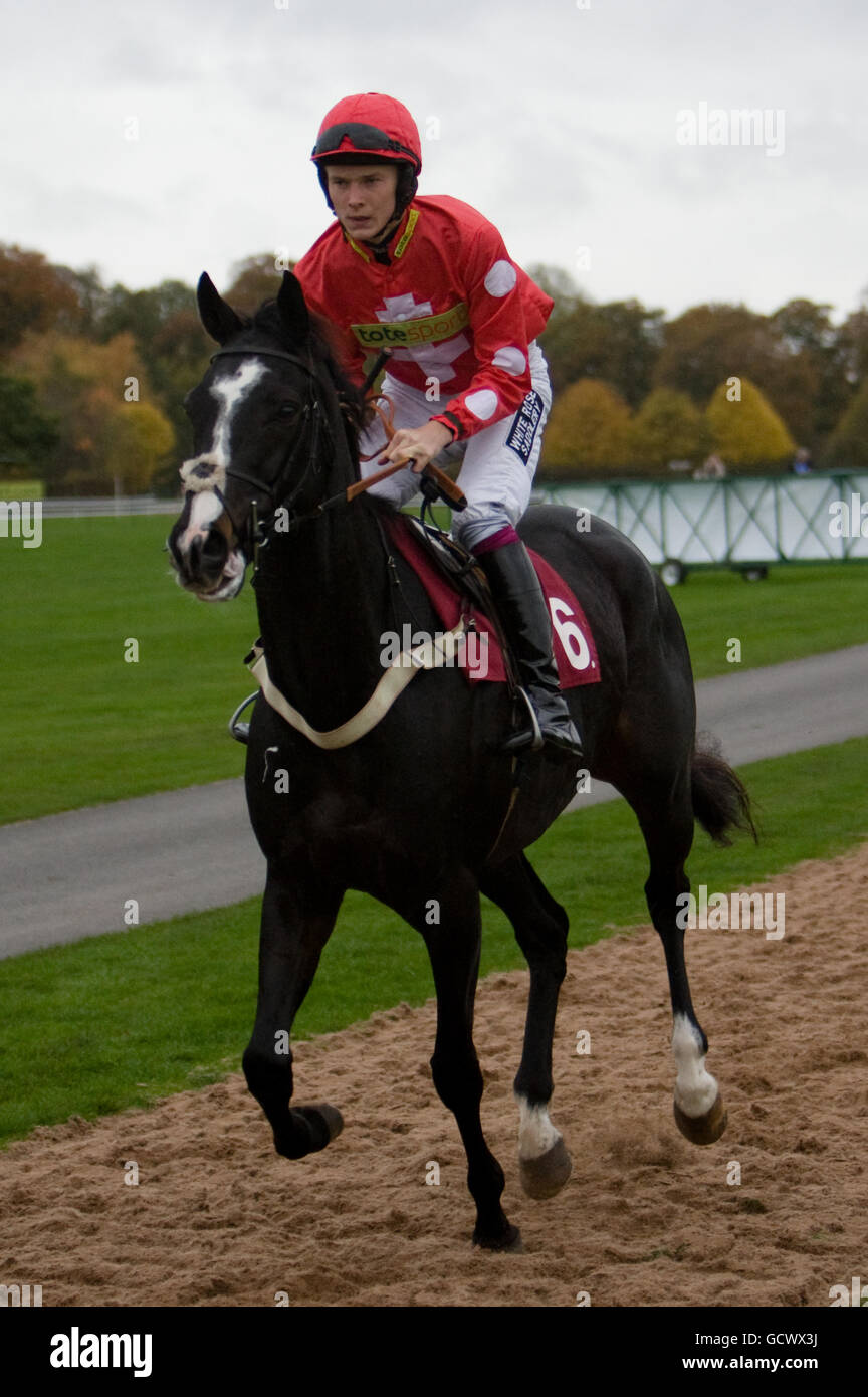 Welfare raceday hi-res stock photography and images - Alamy
