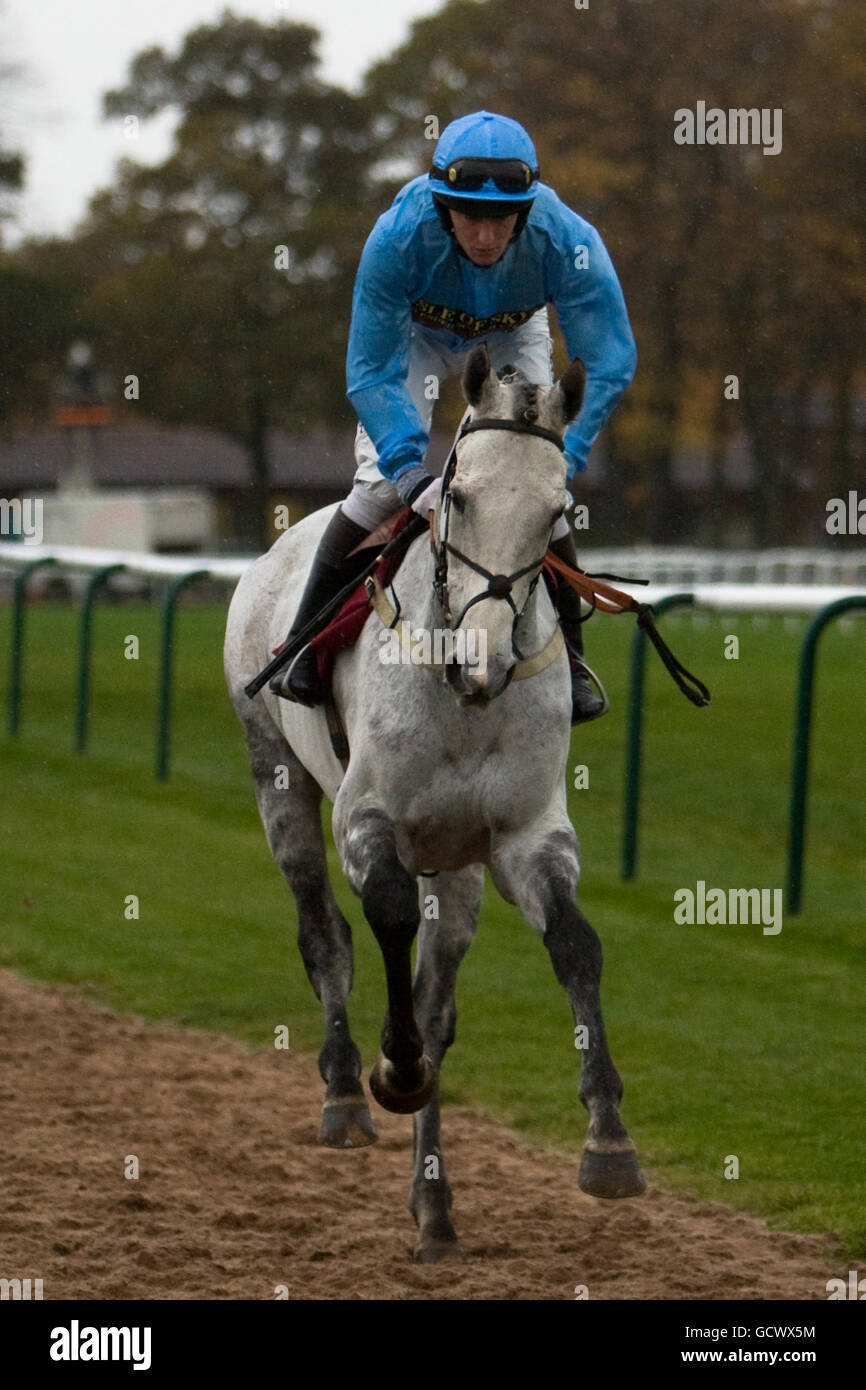 Horse Racing - Racing Welfare Raceday - Haydock Park Stock Photo - Alamy