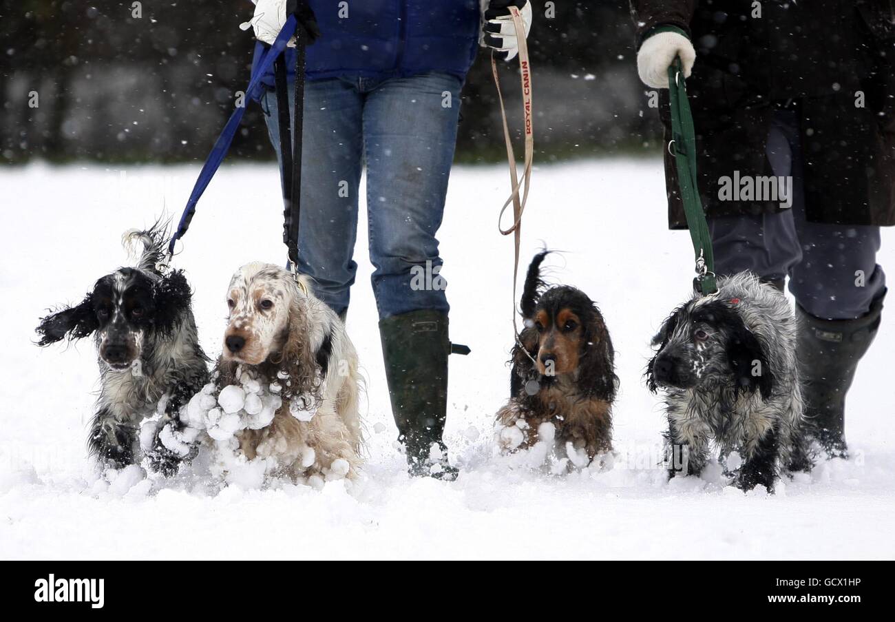 Claire left hi-res stock photography and images - Alamy