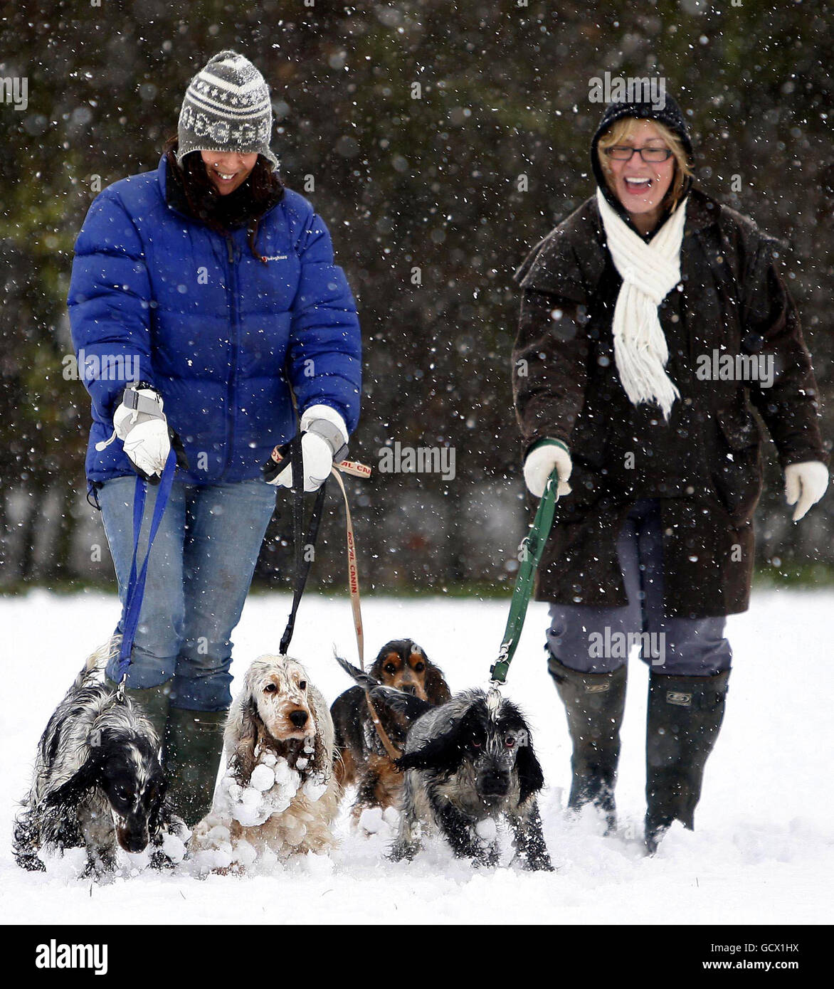 Woody and buzz in the snow in chelmsford hi-res stock photography and ...