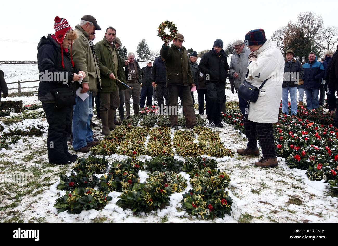 Tenbury Mistletoe and Holly auction Stock Photo - Alamy