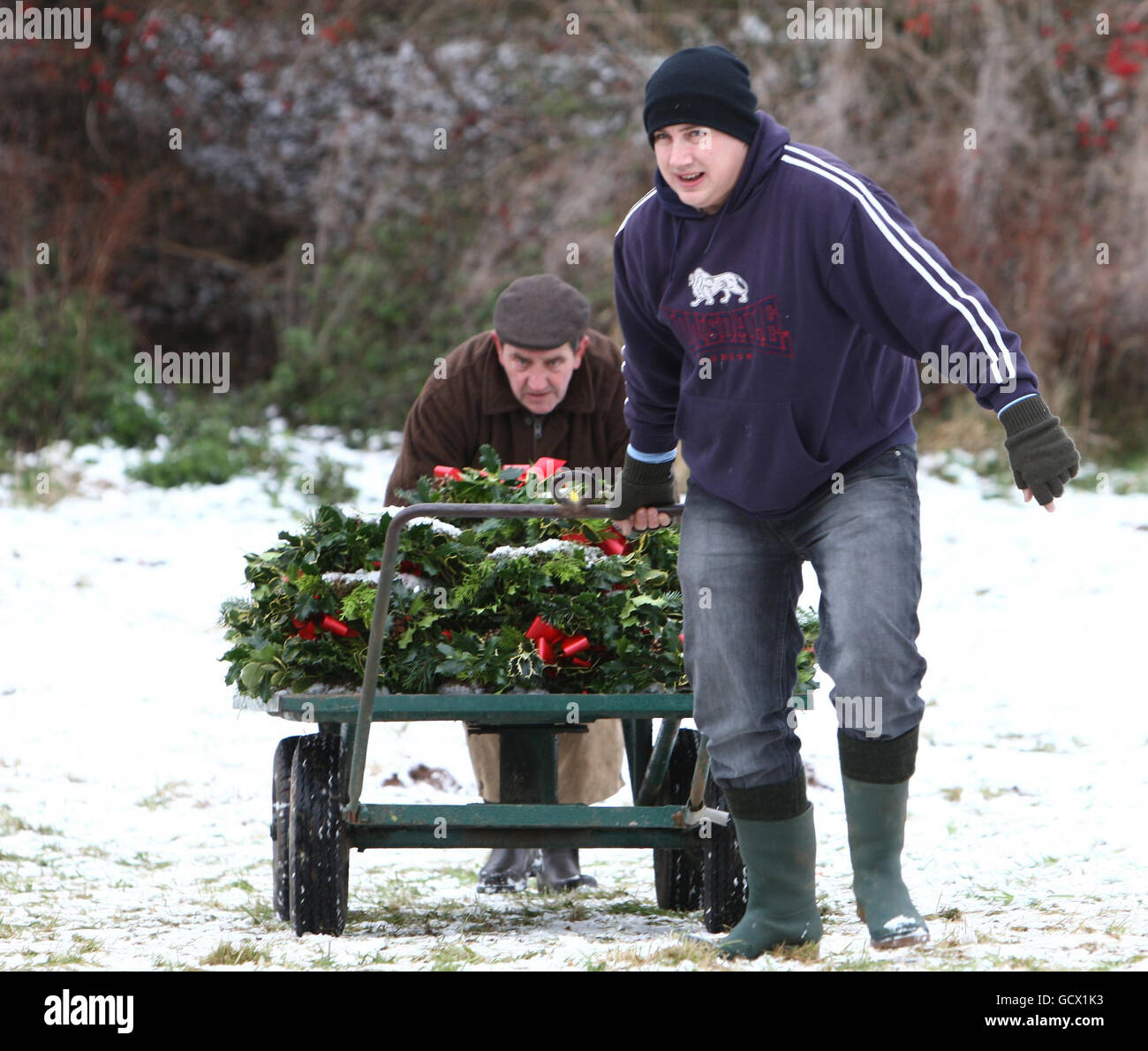 Mistletoe And Holly High Resolution Stock Photography and Images - Alamy