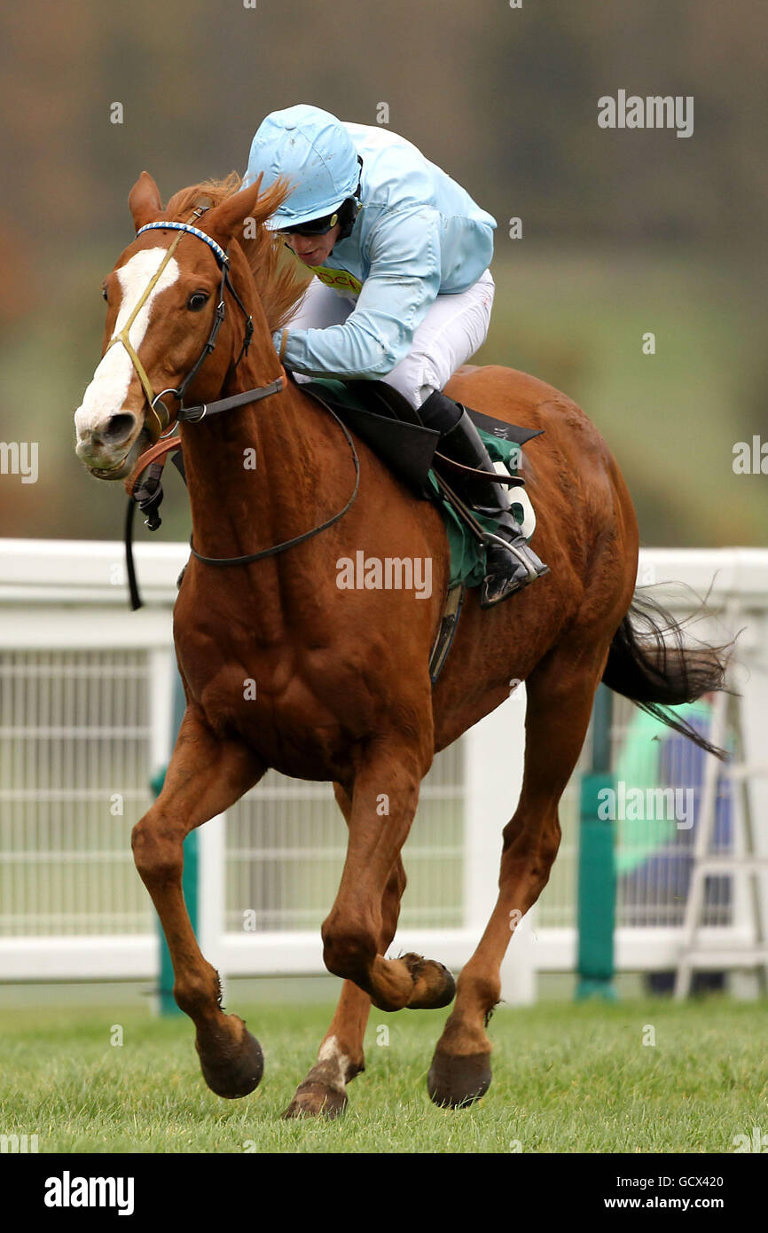 Towcester Horses High Resolution Stock Photography and Images - Alamy