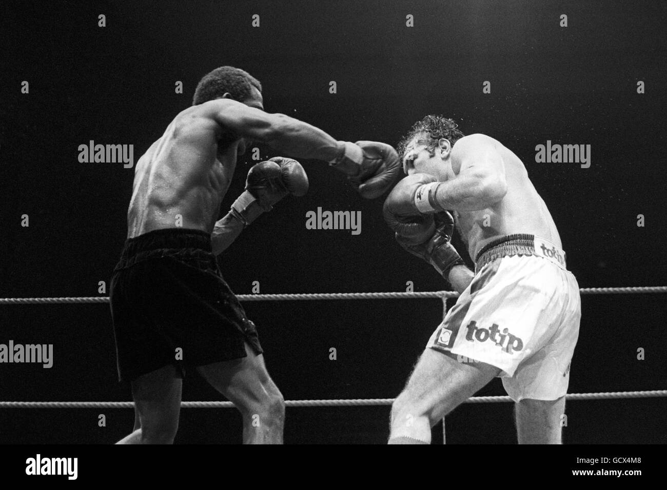 Boxing - WBC Light Middleweight Title - Maurice Hope v Rocky Mattioli ...