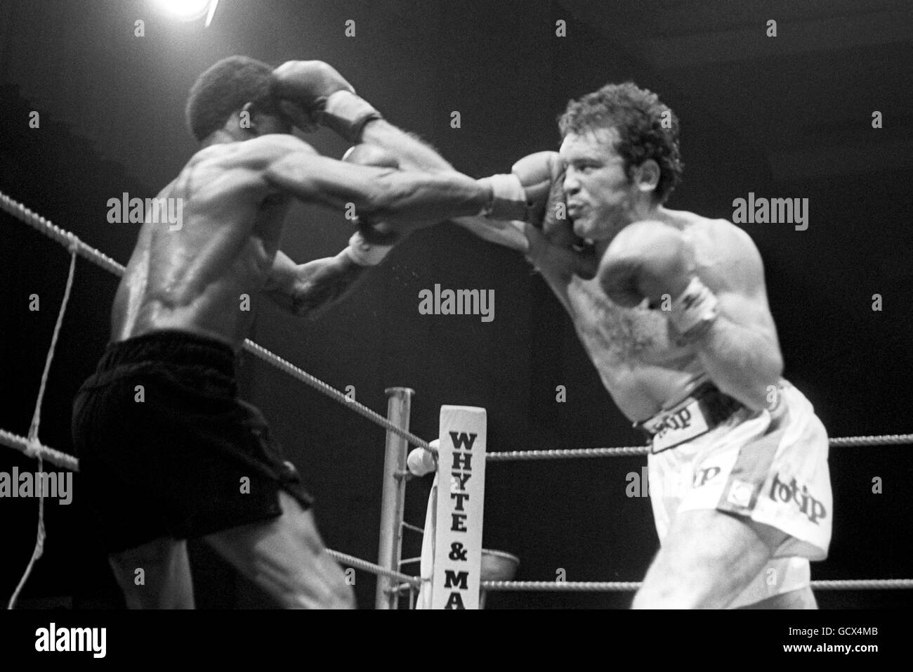 Boxing - WBC Light Middleweight Title - Maurice Hope v Rocky Mattioli ...