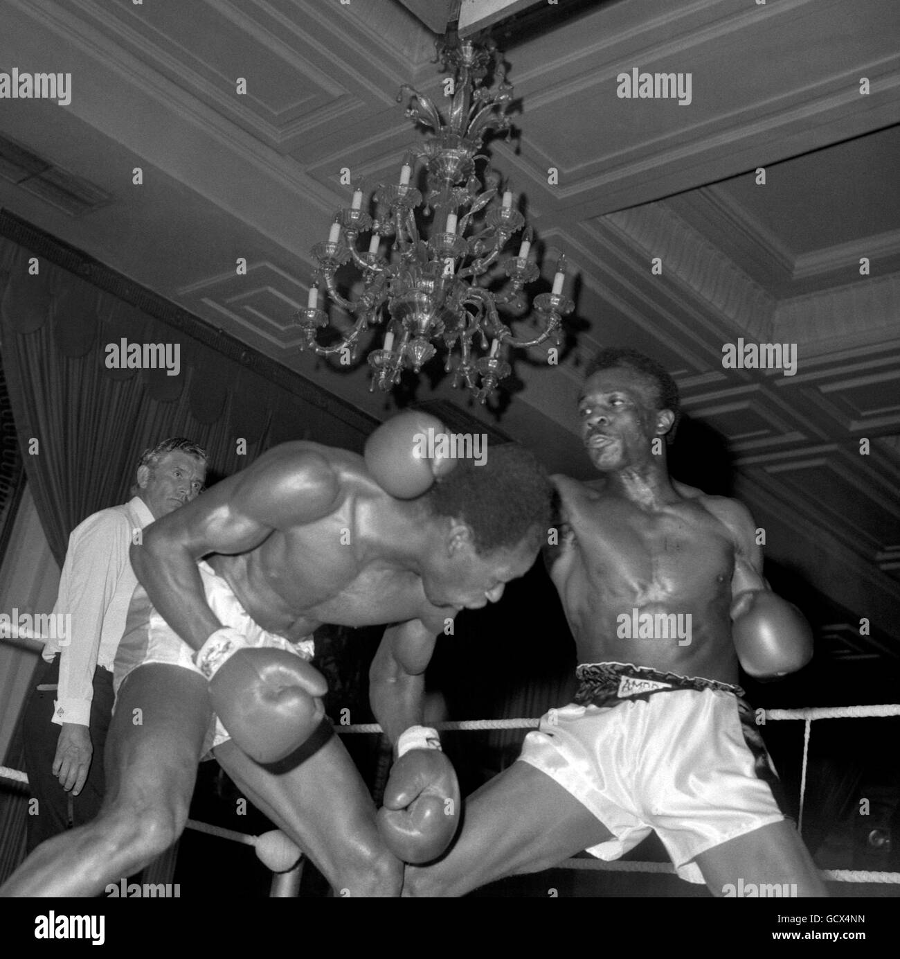 Title boxing club hi-res stock photography and images - Alamy