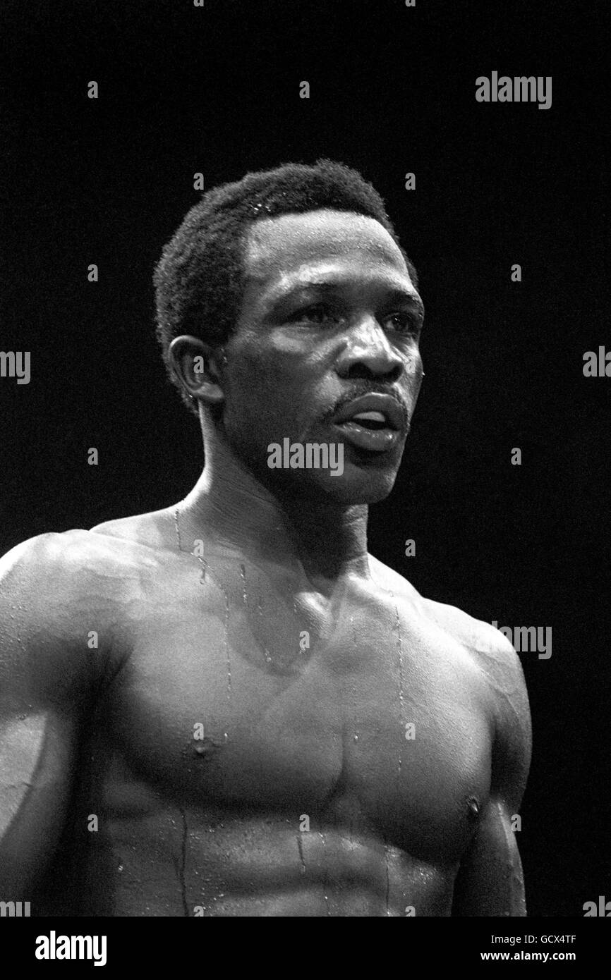 Maurice Hope Stock Photos & Maurice Hope Stock Images - Alamy