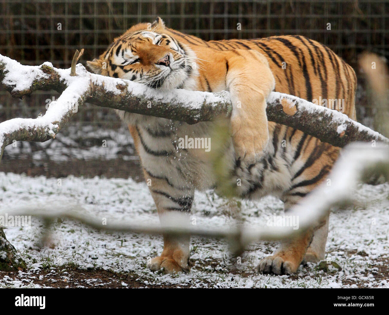 Winter weather December 17th Stock Photo - Alamy
