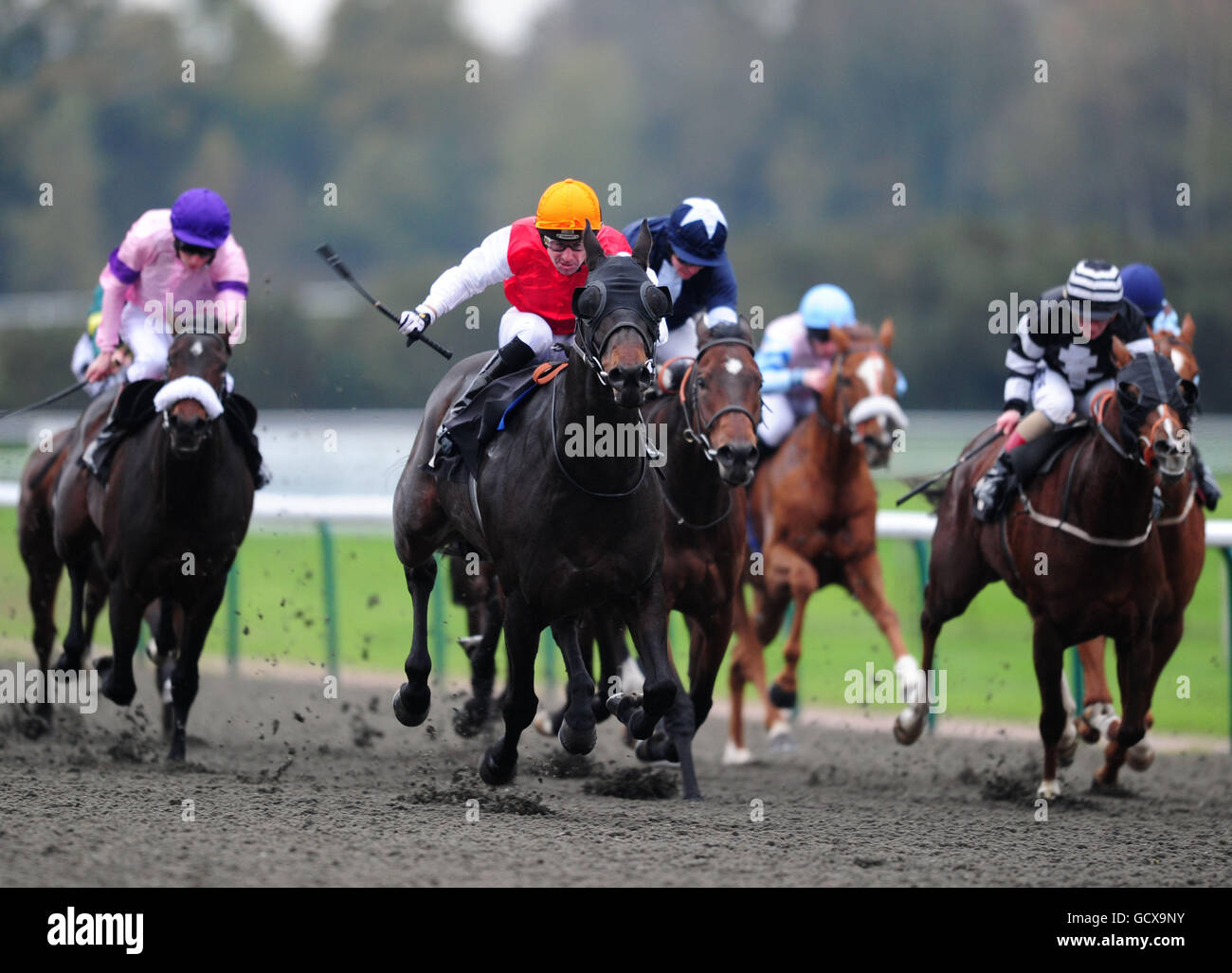 Horse Racing - Lingfield Park Racecourse Stock Photo - Alamy