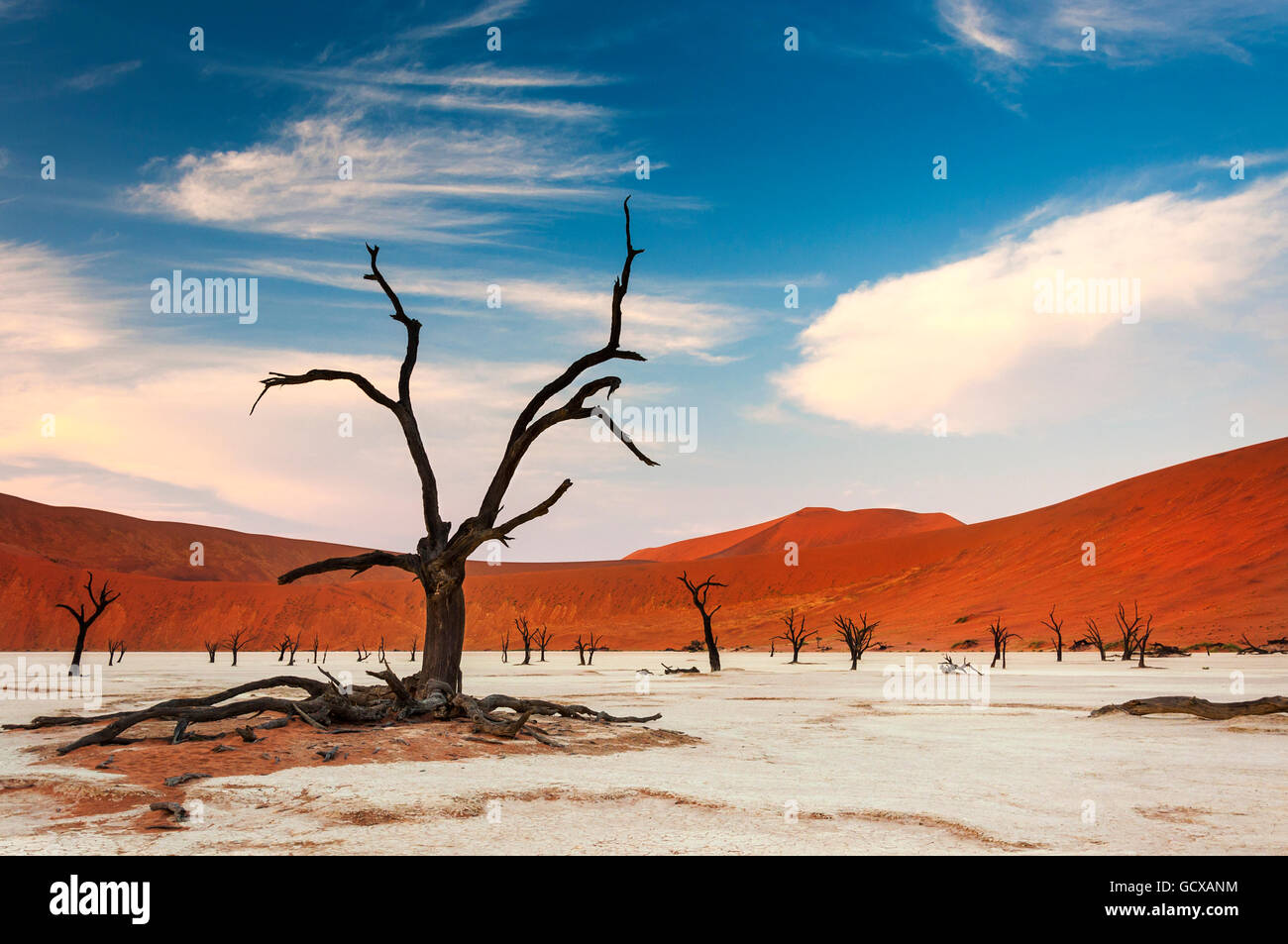 Namibia hi-res stock photography and images - Alamy