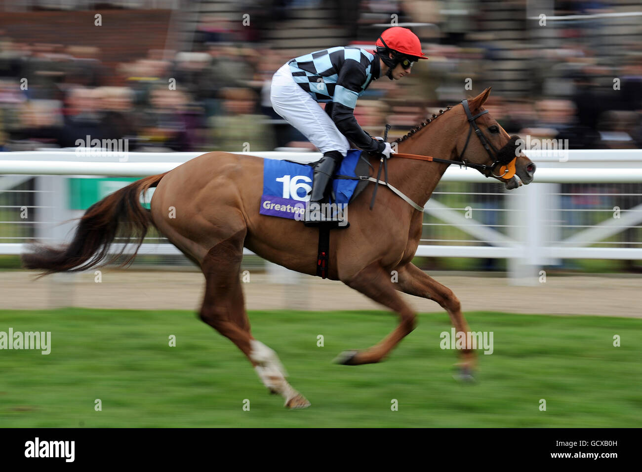Jockey Danny Cook on Bothy before the Greatwood Handicap Hurdle Stock ...