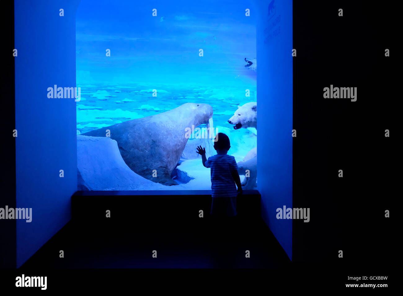 Stuffed wildlife diorama inside Grigore Antipa National Museum of ...