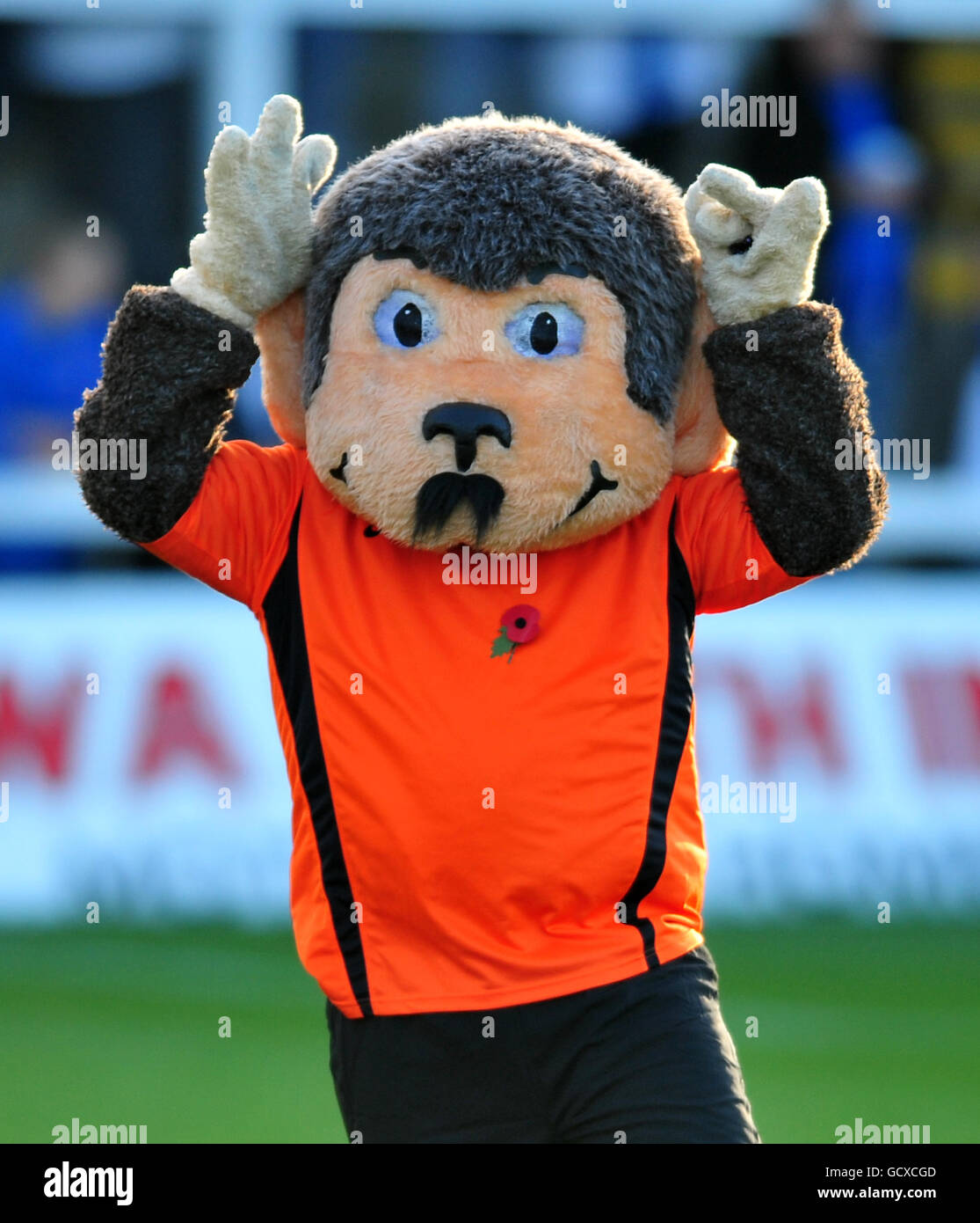 Hartlepool united mascot hi-res stock photography and images - Alamy