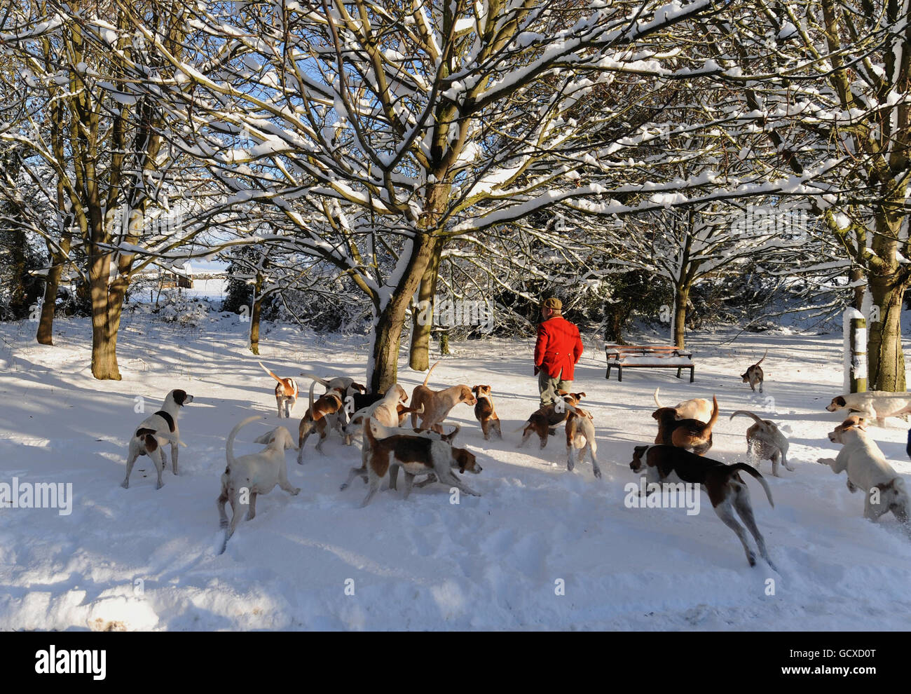 The Saltersgate Farmers Hunt leaves Lockton village on the North York ...