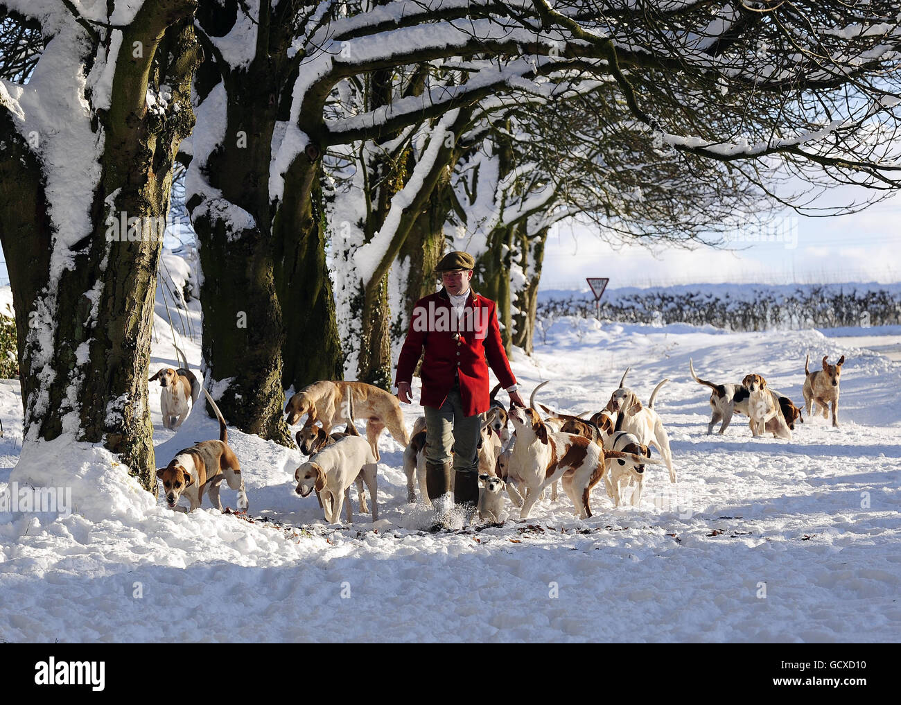 The Saltersgate Farmers Hunt leaves Lockton village on the North York ...