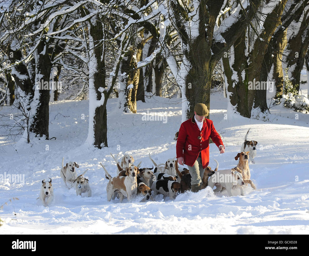 The Saltersgate Farmers Hunt leaves Lockton village on the North York ...