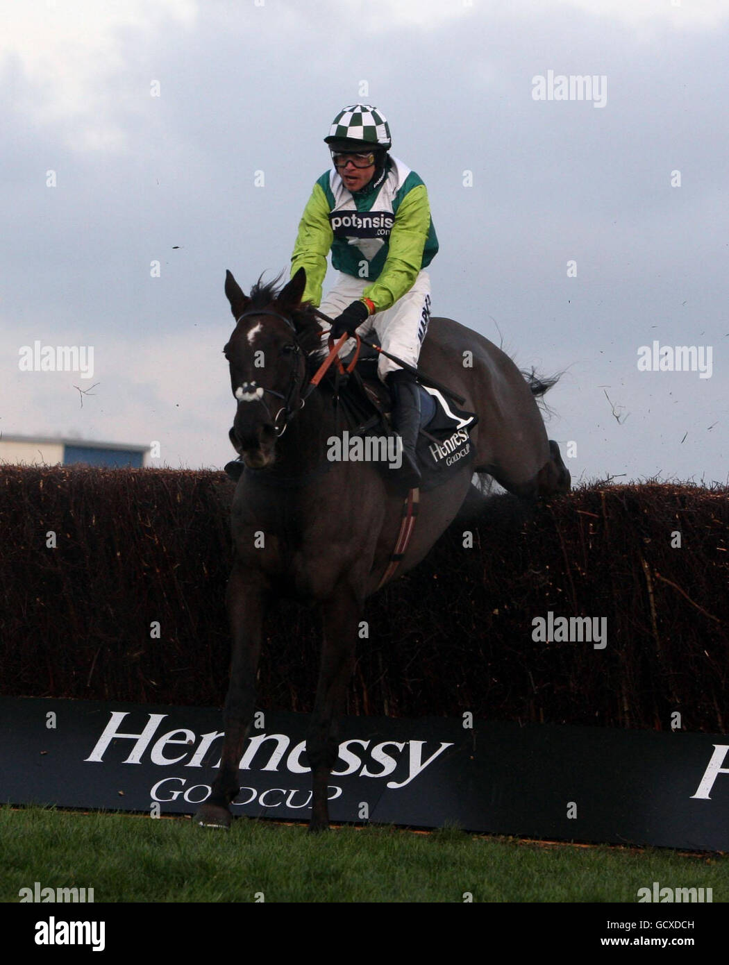 Horse racing the winter festival hennessy gold cup newbury racecourse ...