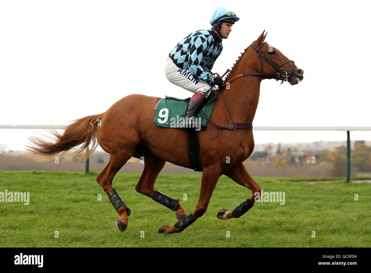 Towcester horses hi-res stock photography and images - Alamy