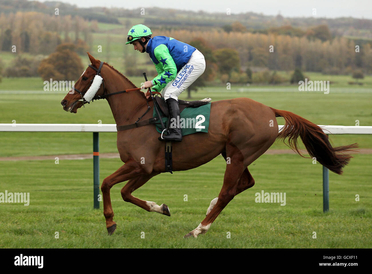 Towcester horses hi-res stock photography and images - Alamy