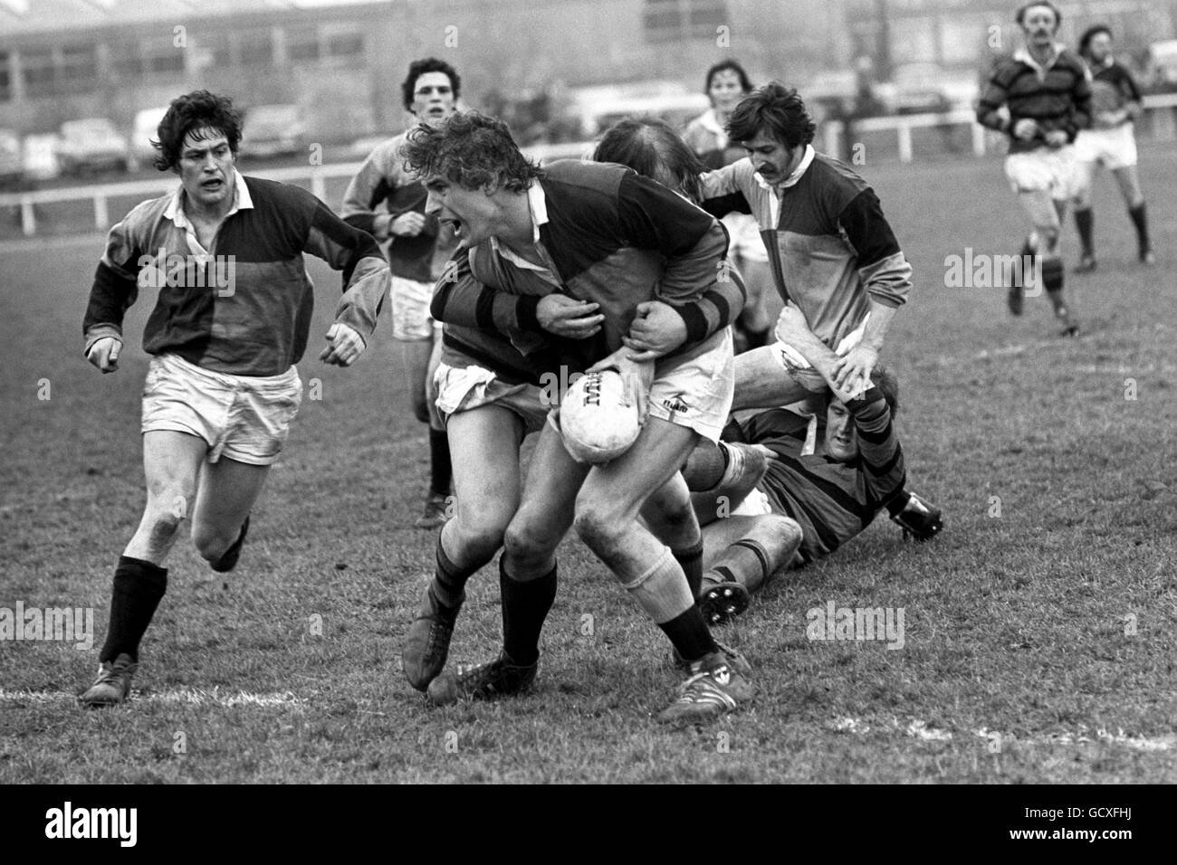 The stoop harlequin Black and White Stock Photos & Images - Alamy