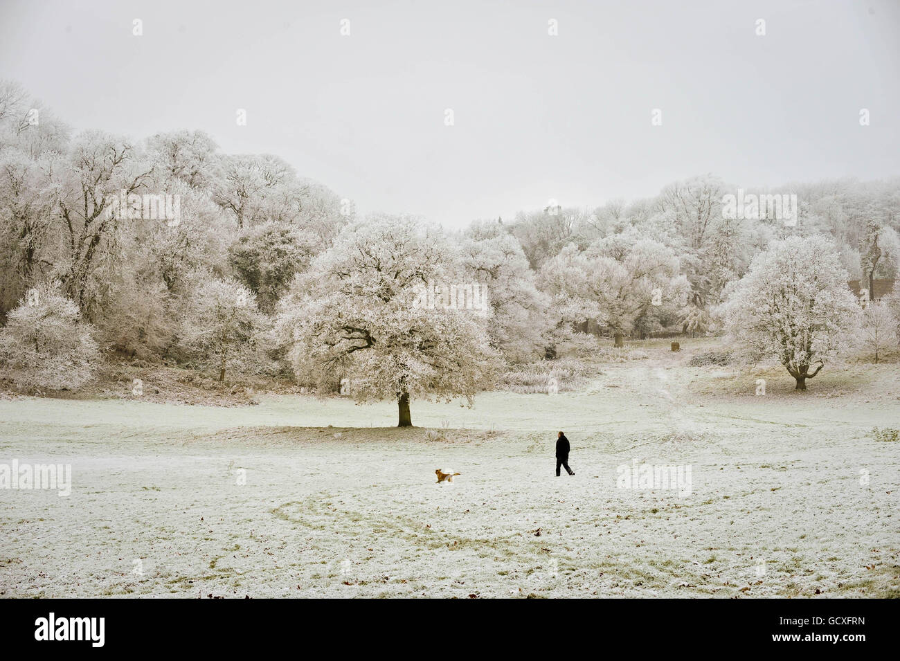Ashton frost hi-res stock photography and images - Alamy