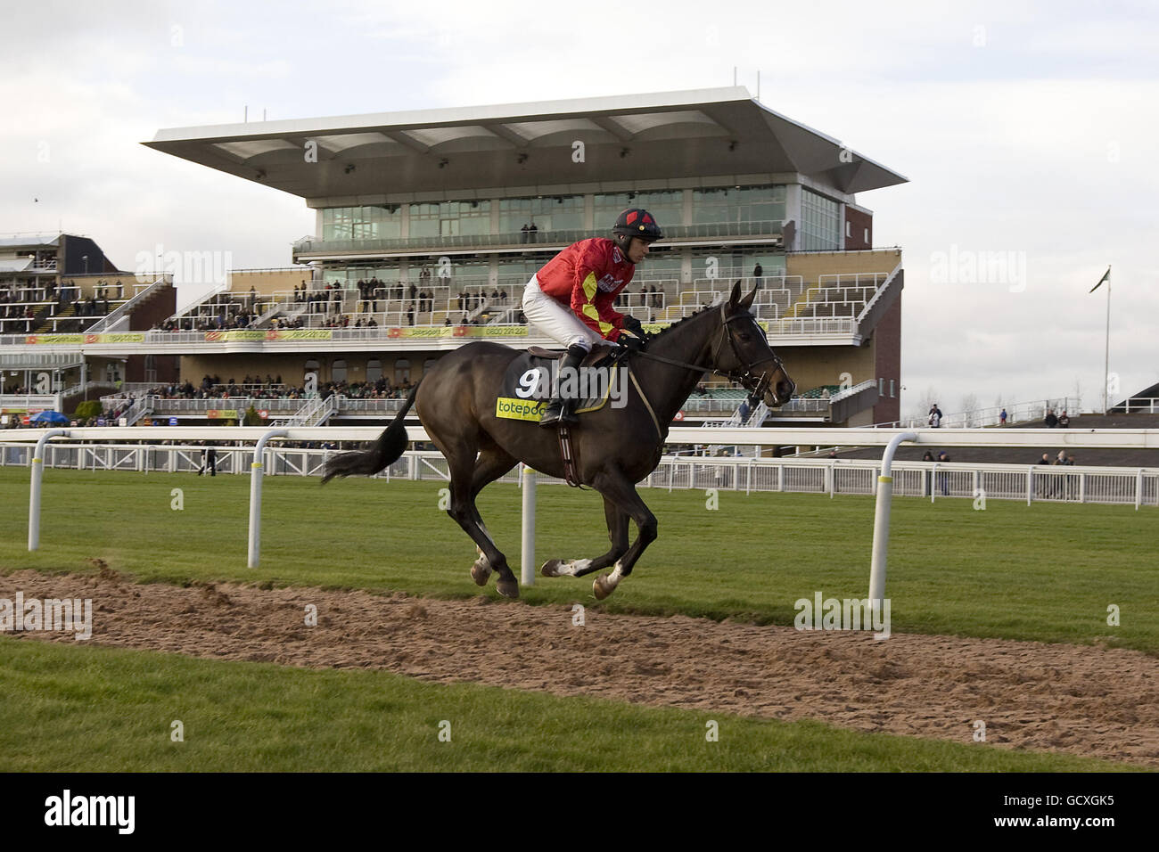 Jockey Paddy Brennan on Nikola prior to The totepool Grand Sefton ...