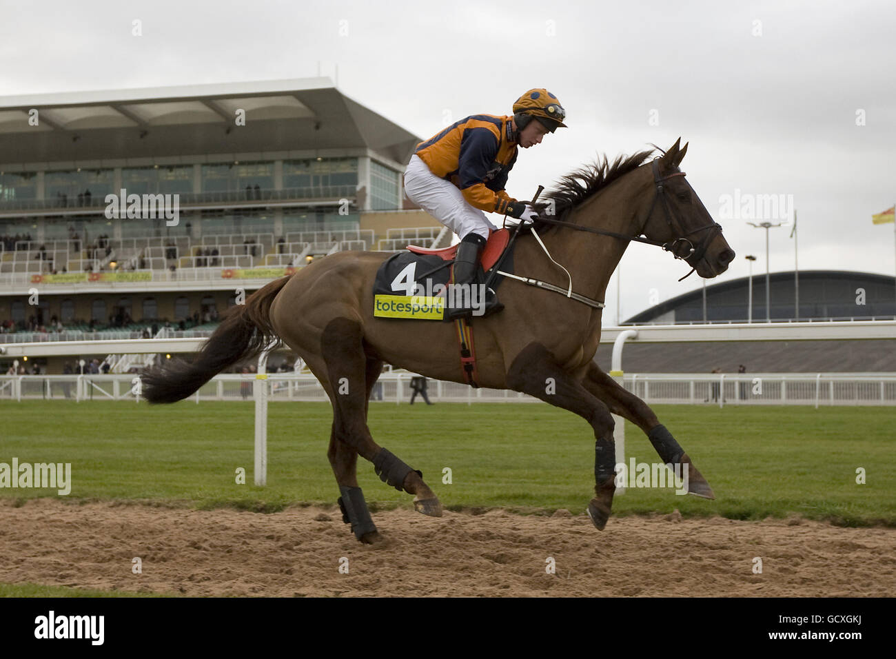 Whatuthink hi-res stock photography and images - Alamy