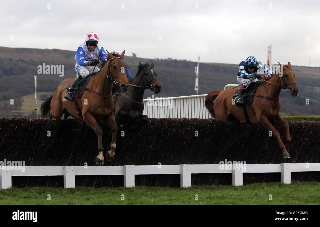 Horse Racing - Cheltenham Racecourse Stock Photo - Alamy