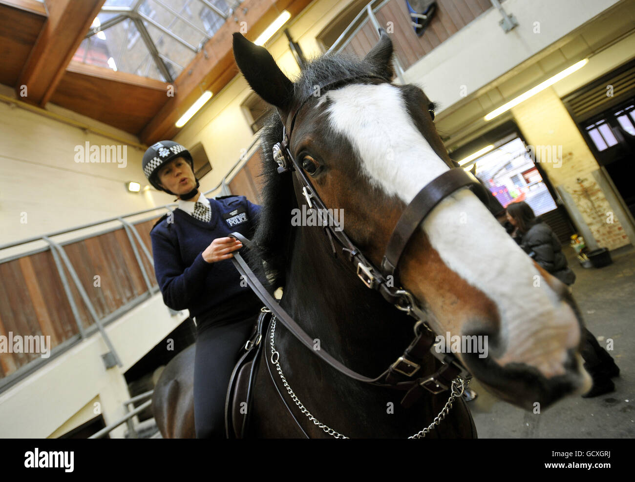 Wpc karen howell rides her mount hi-res stock photography and images ...
