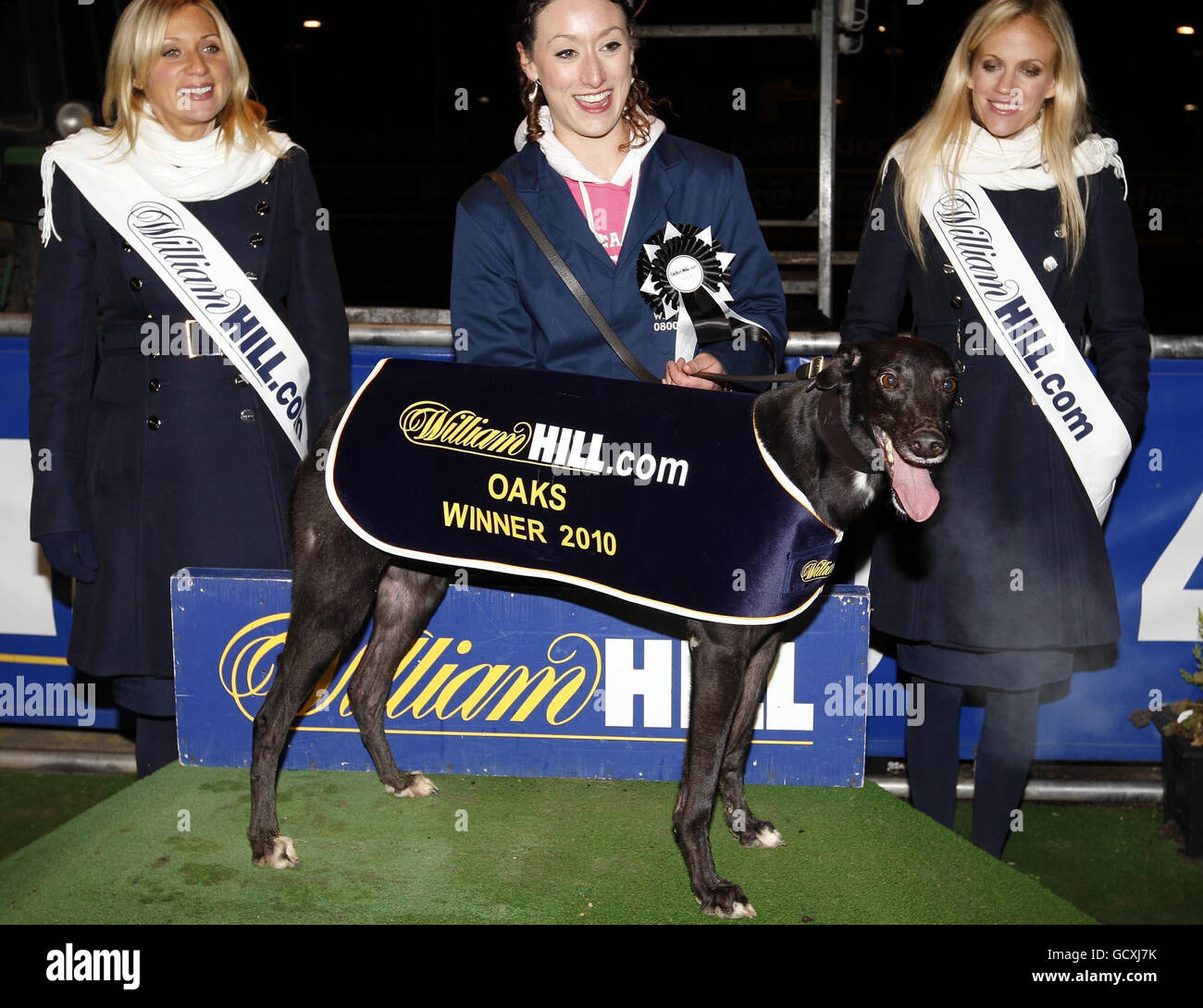Greyhounds - Wimbledon Greyhound Stadium Stock Photo - Alamy