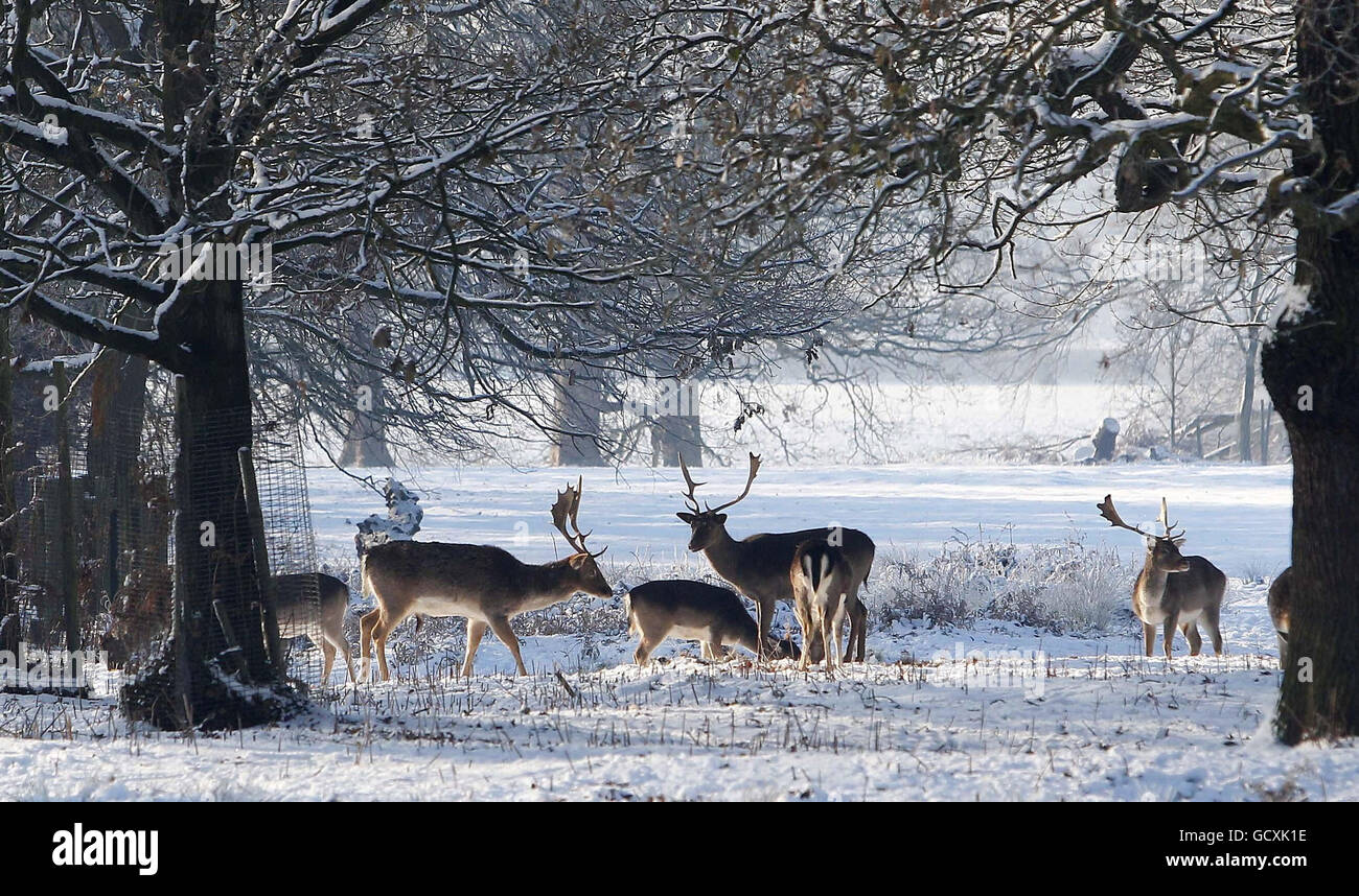 Winter weather December 19th Stock Photo - Alamy