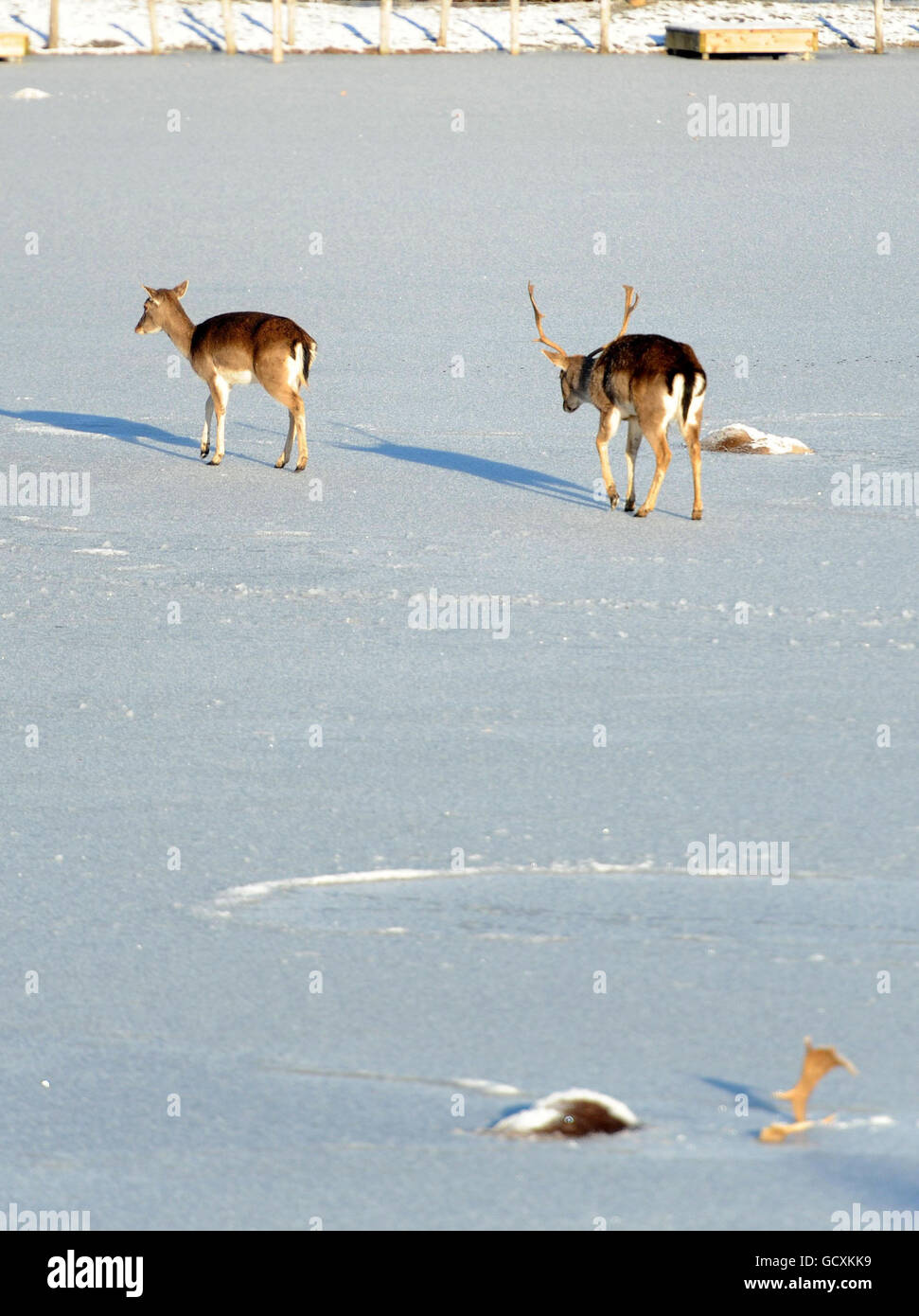 Winter weather December 20th Stock Photo - Alamy
