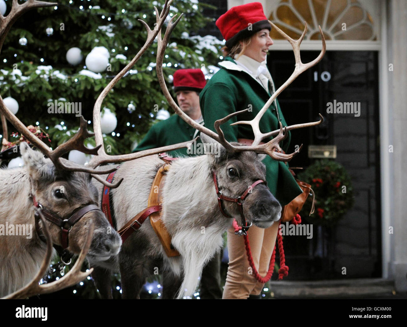 Reindeer stand outside 10 Downing Street, London, where they were part ...