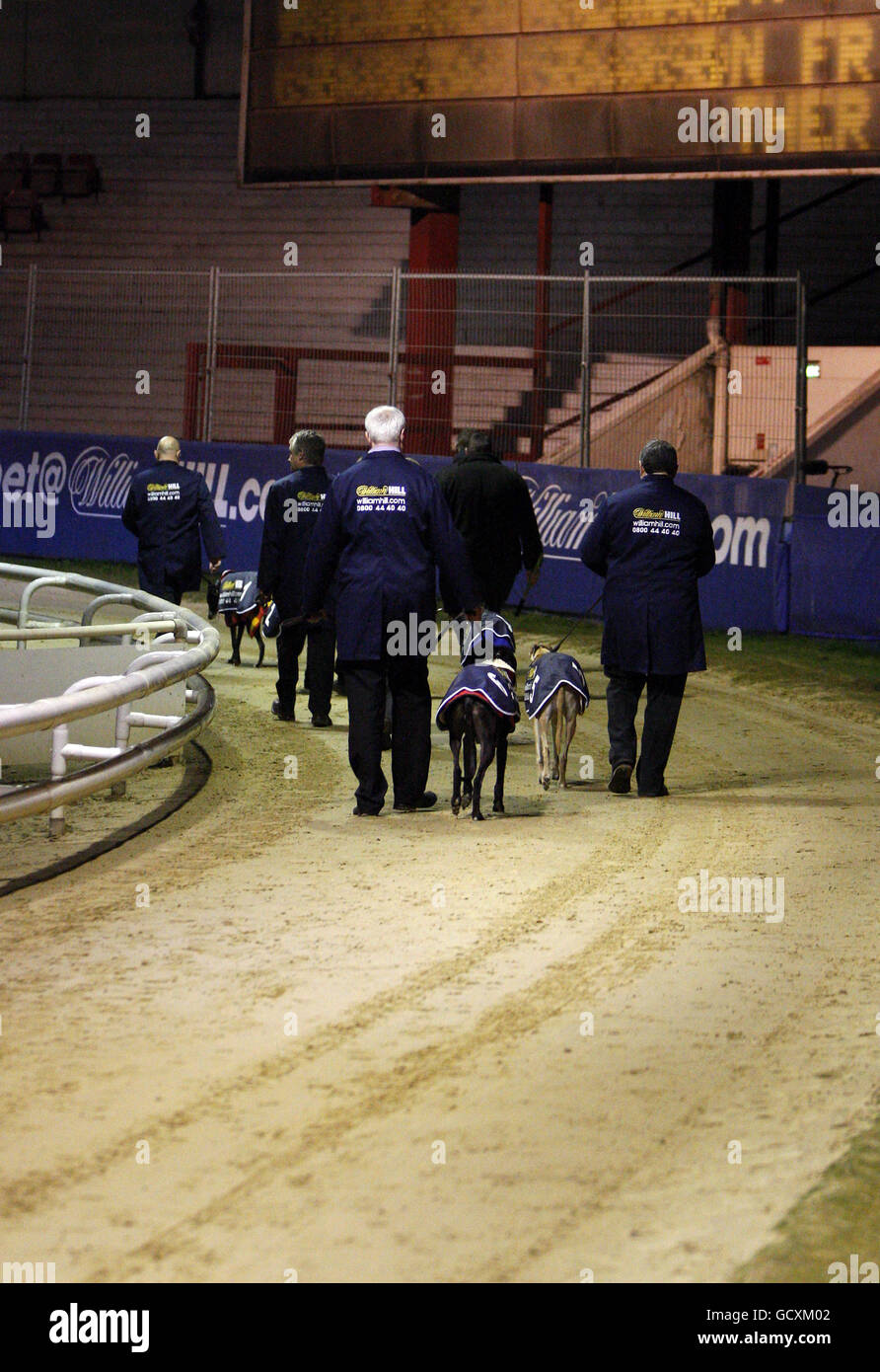 Handlers lead the greyhounds after race at wimbledon greyhound stadium ...