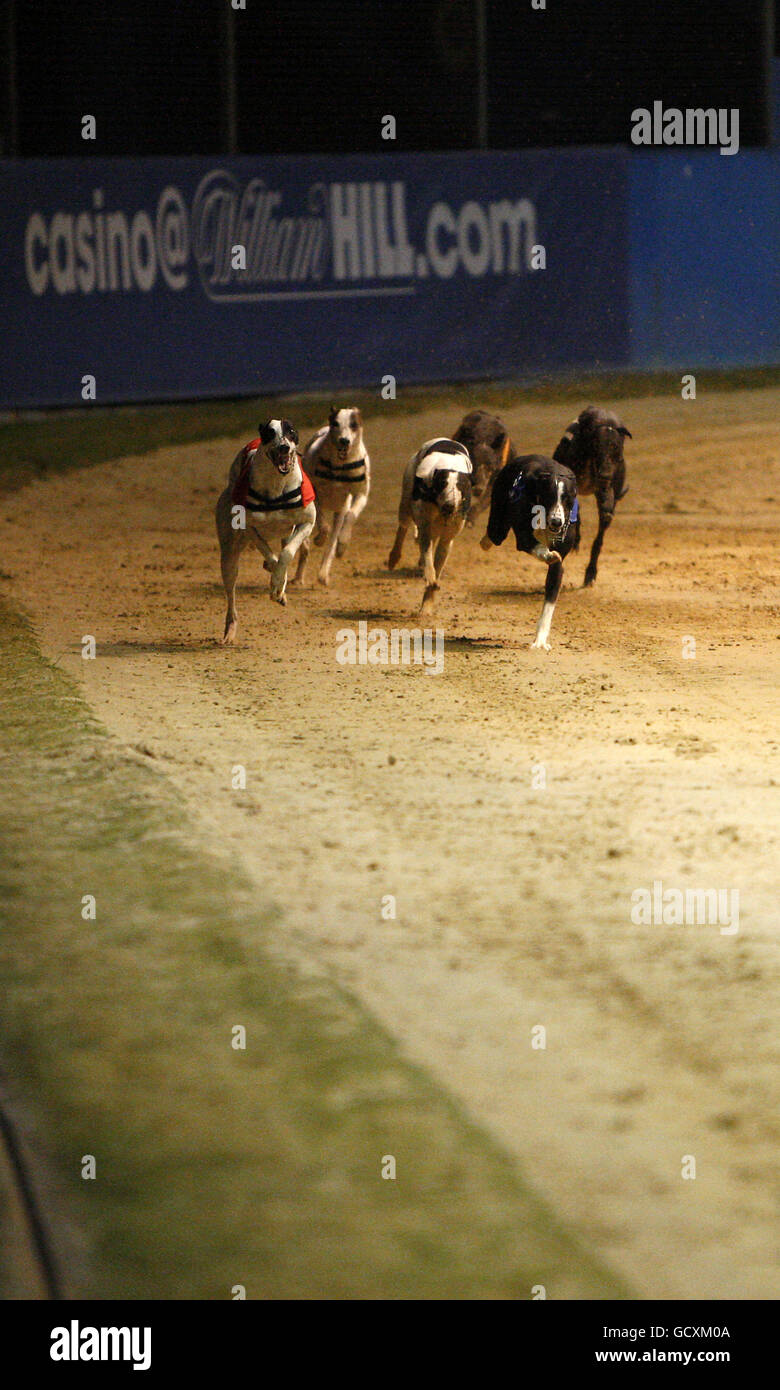 50 race wimbledon greyhound stadium hi-res stock photography and images ...