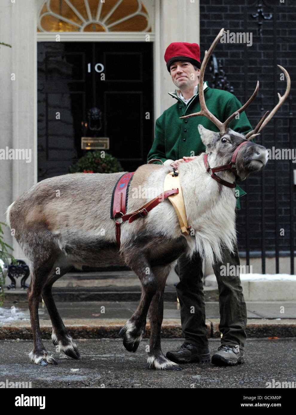 A reindeer and it's handler, dressed as an elf, stand outside 10 ...
