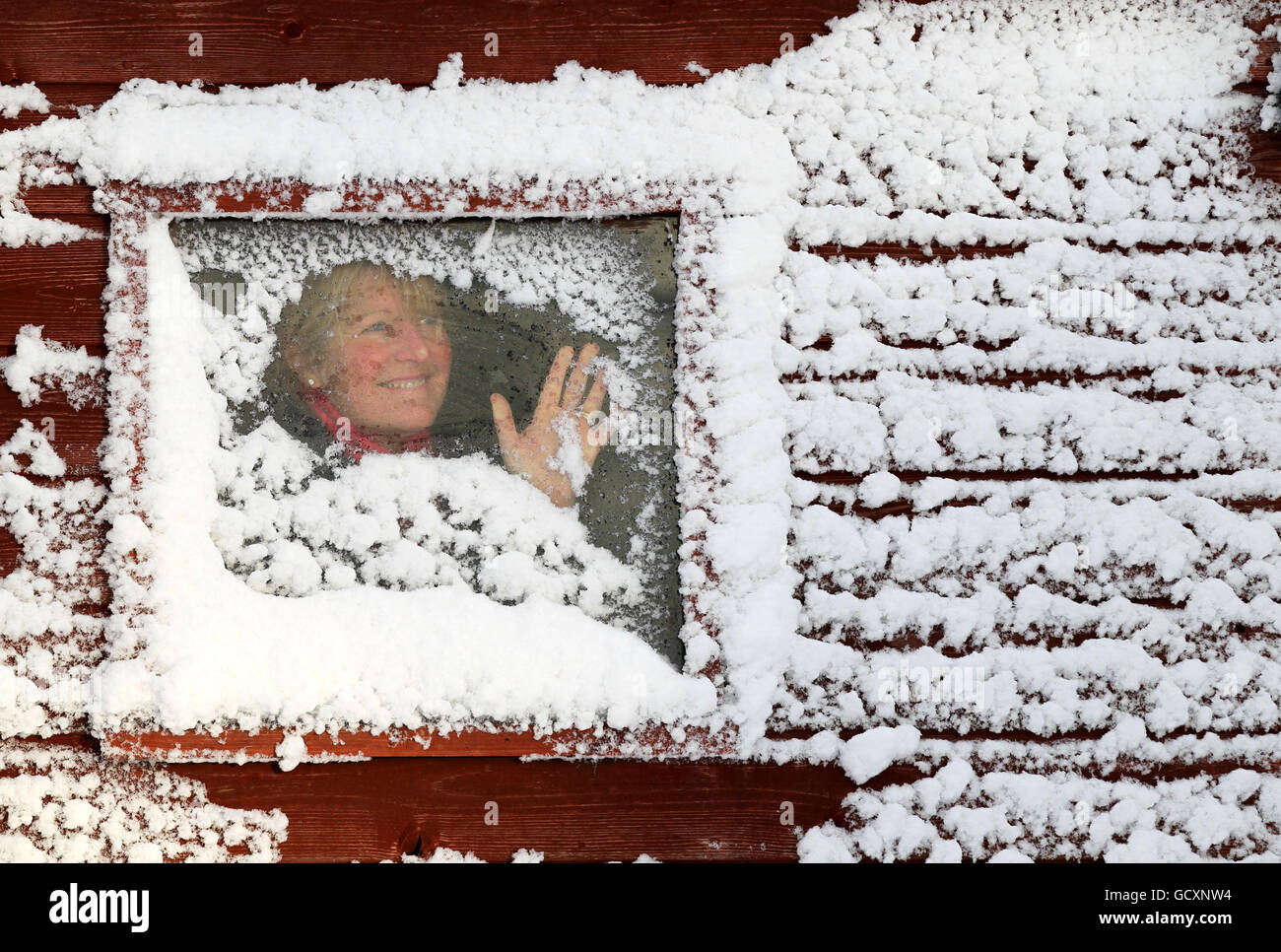 Stable hand Audrey Stevenson looks from a window at Riverside Livery ...