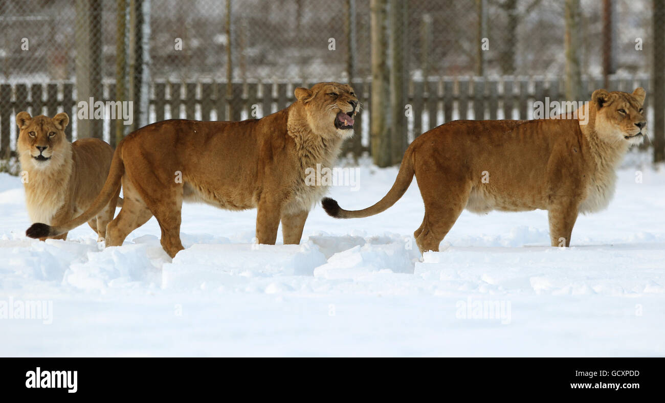 Winter weather Nov 29th Stock Photo - Alamy