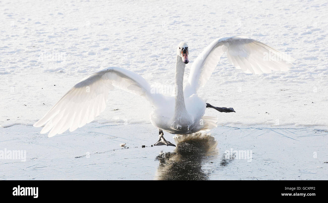 Winter weather Dec 3rd Stock Photo - Alamy