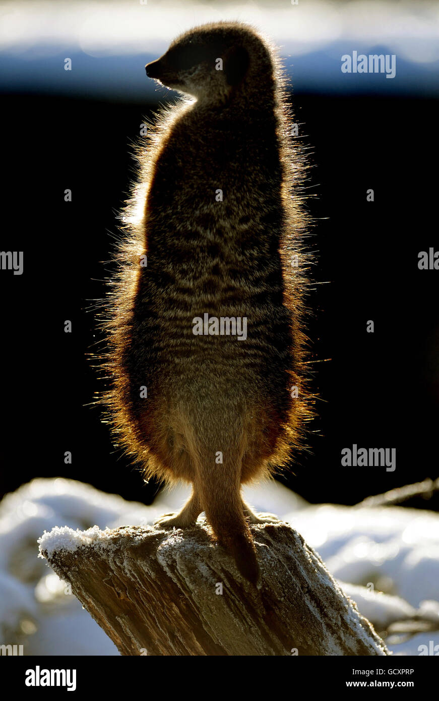 Winter weather Dec 3rd Stock Photo - Alamy