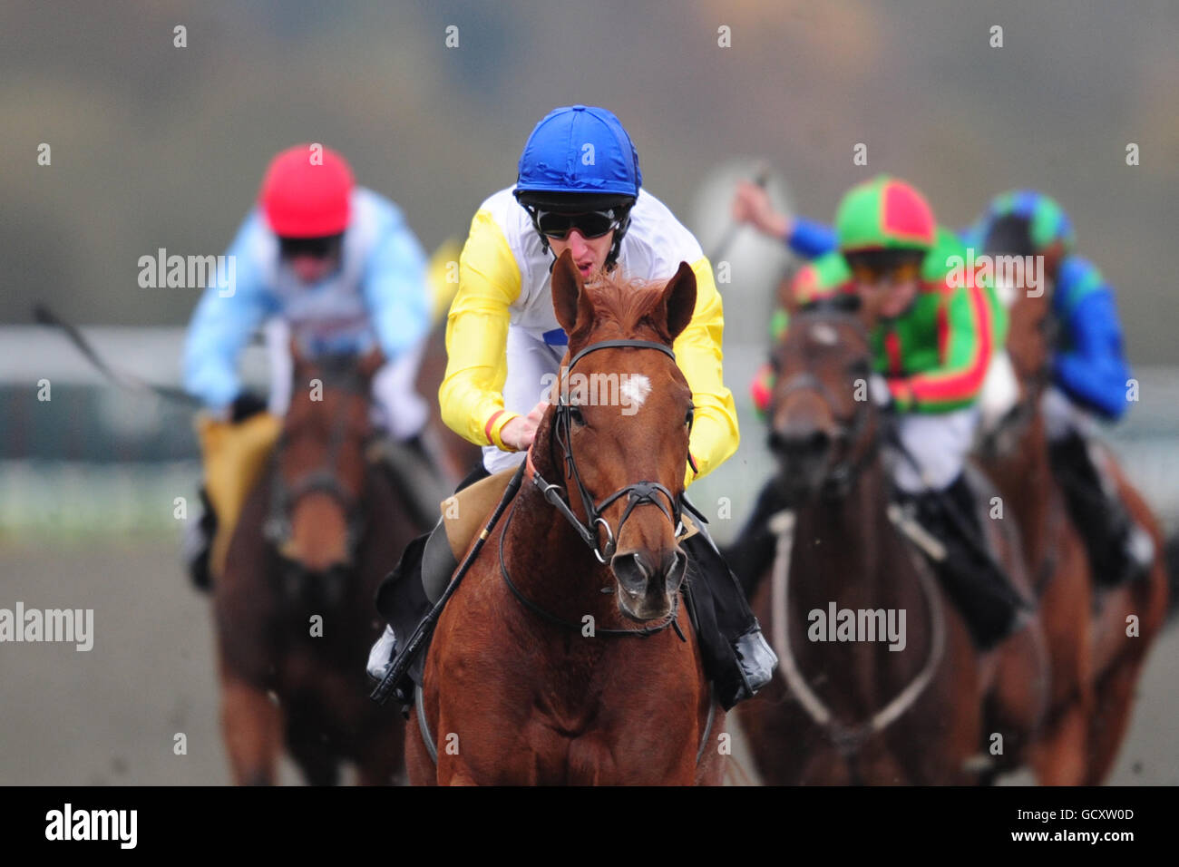Horse Racing - Lingfield Park Racecourse Stock Photo - Alamy