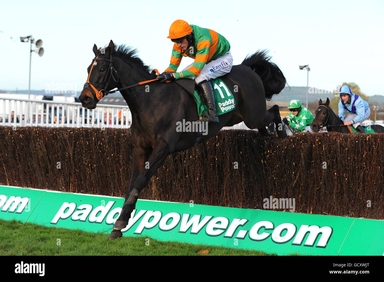 Paddy Power Horse Racing Explained at Donald Blanton blog
