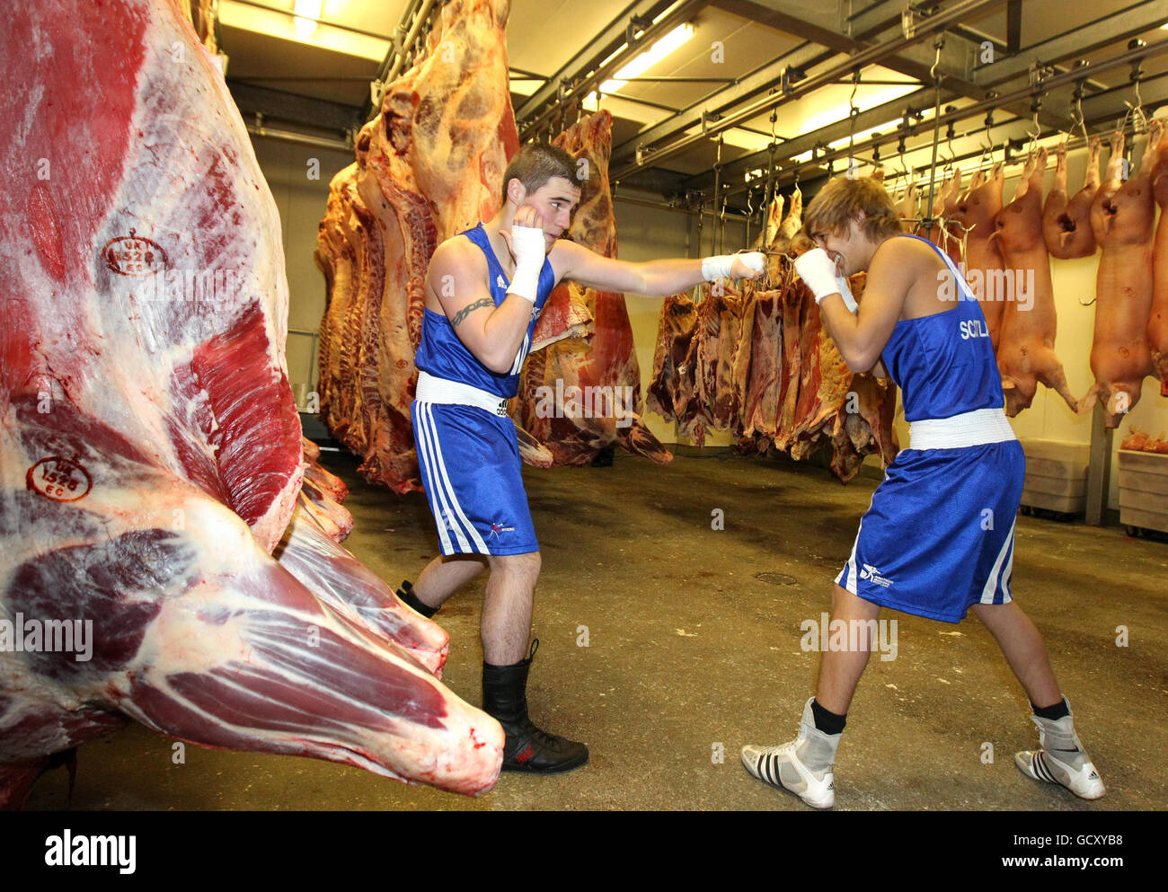 Scottish Youth international boxers Robert Forrest (left) and Bryce ...