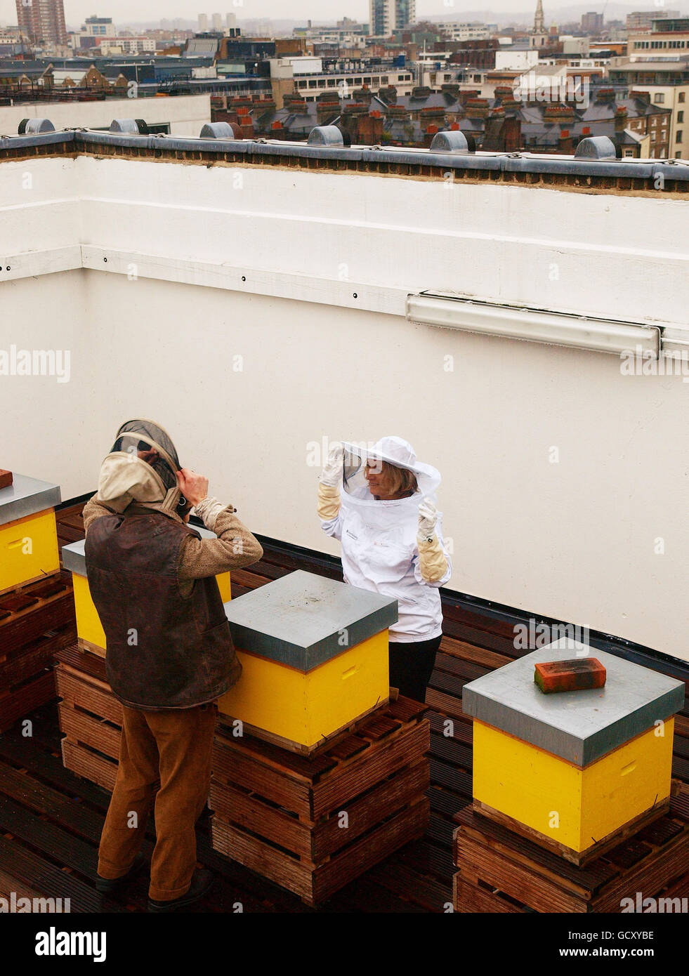 Capital bee company hi-res stock photography and images - Alamy