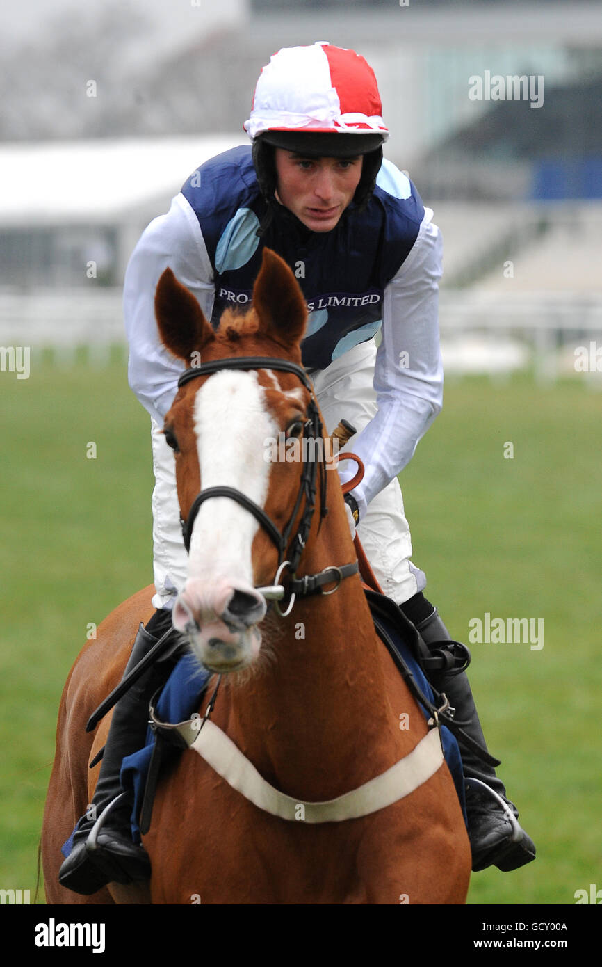 Jockey Marc Goldstein on Highland Legacy goes to post for the First ...