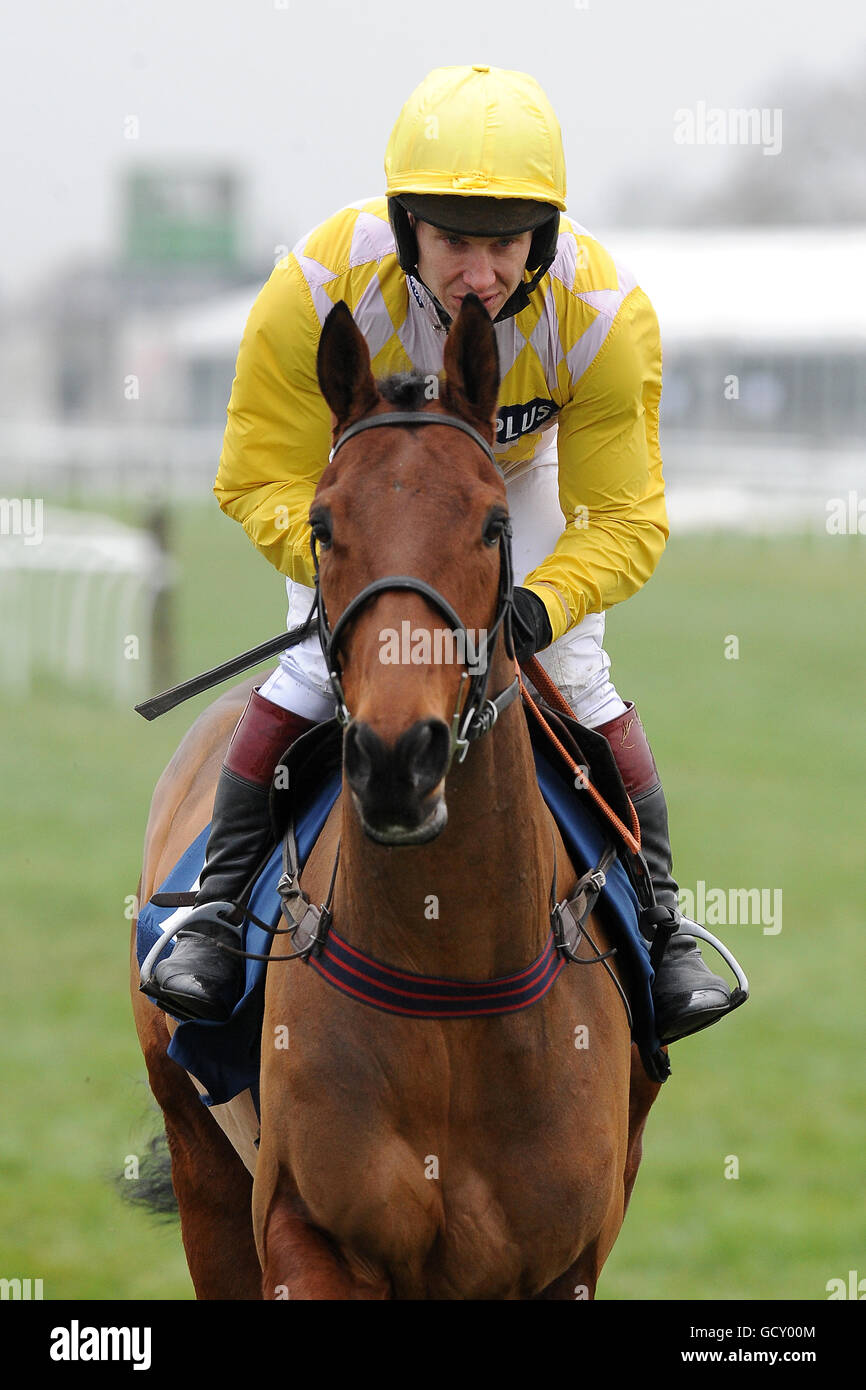 Jockey Richard Johnson on Pateese goes to post for the First Great ...