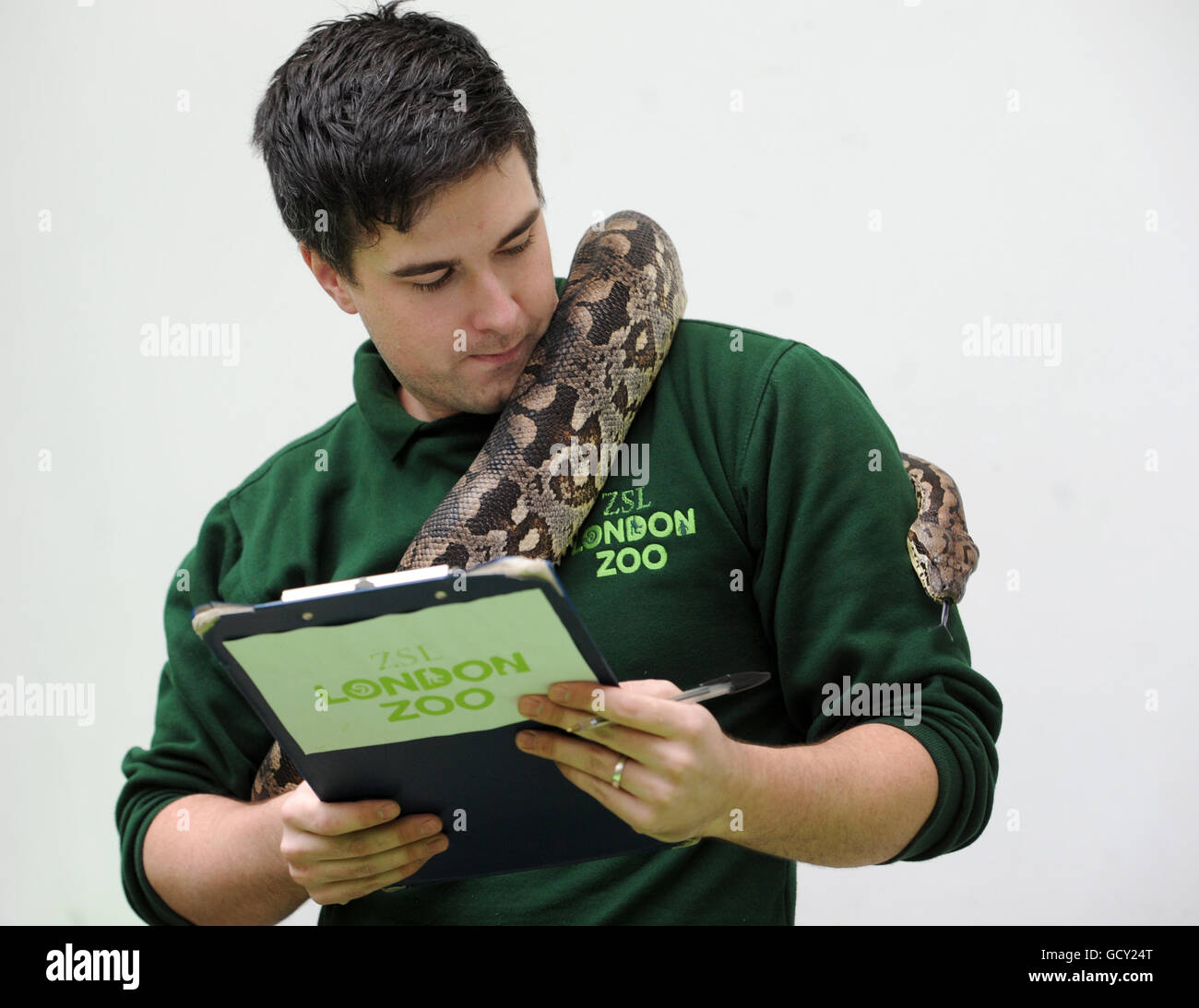 Snake handler zoo hi-res stock photography and images - Alamy